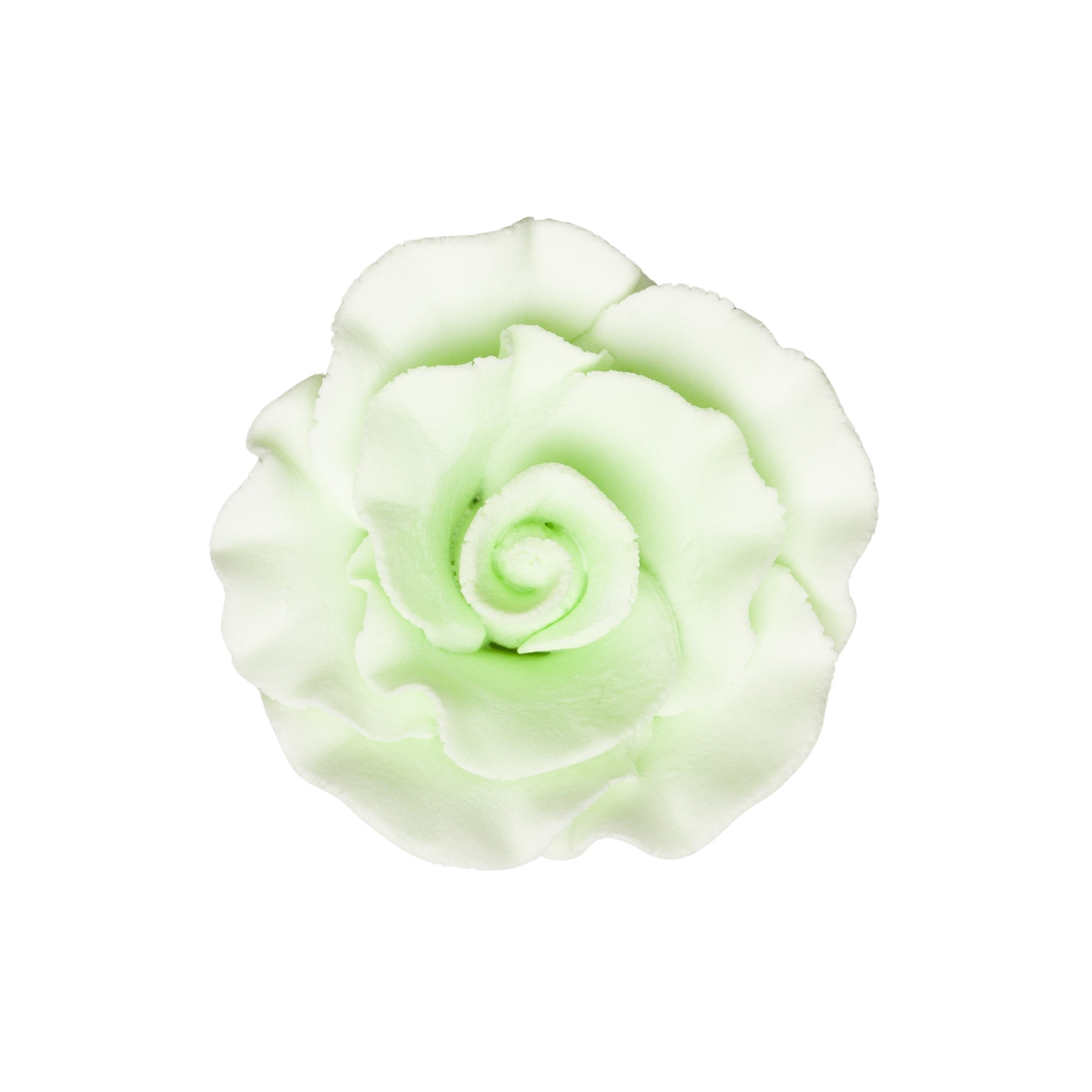 2" Formal Rose - Mint Green – Wholesale Sugar Flowers