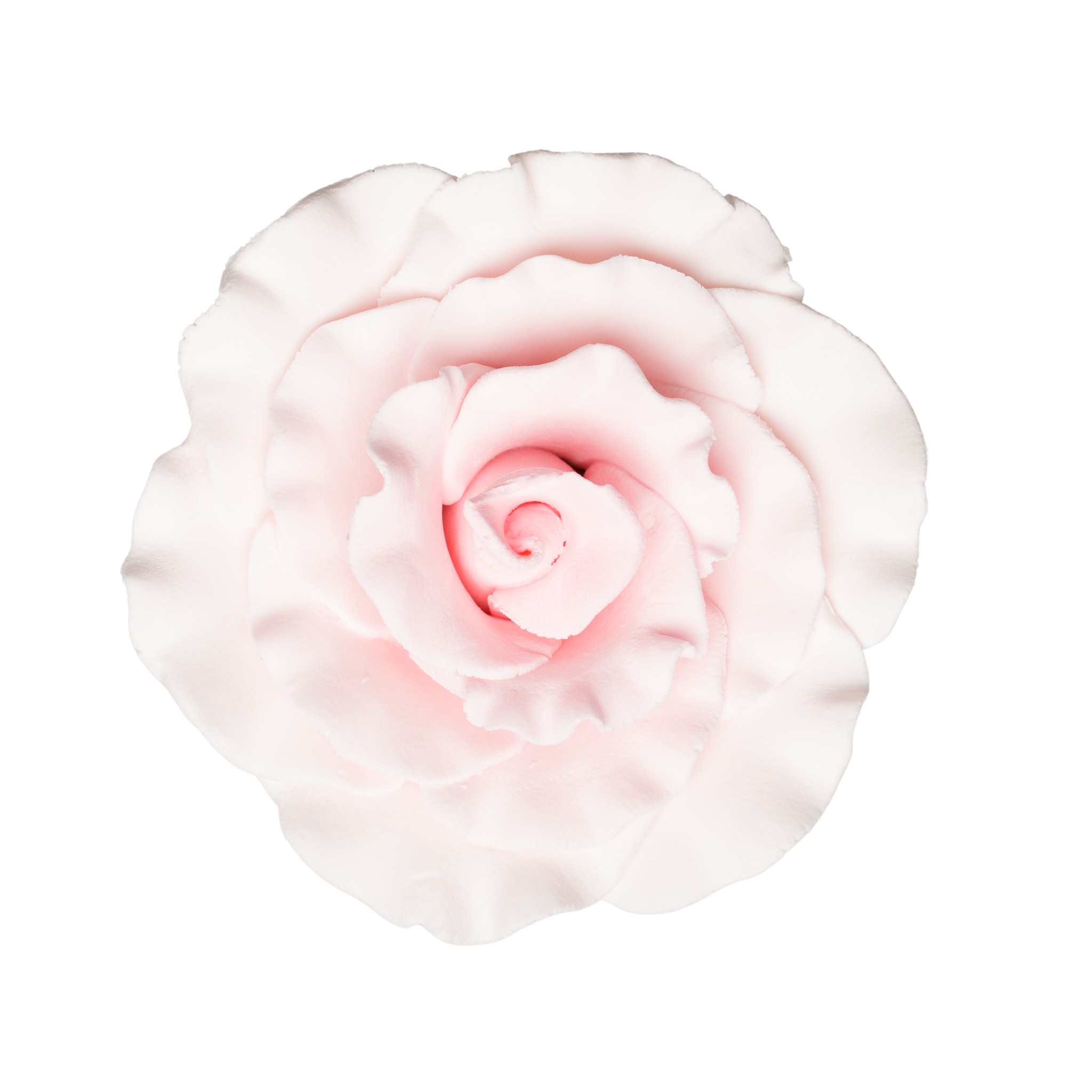 4" Formal Rose - Pink – Wholesale Sugar Flowers