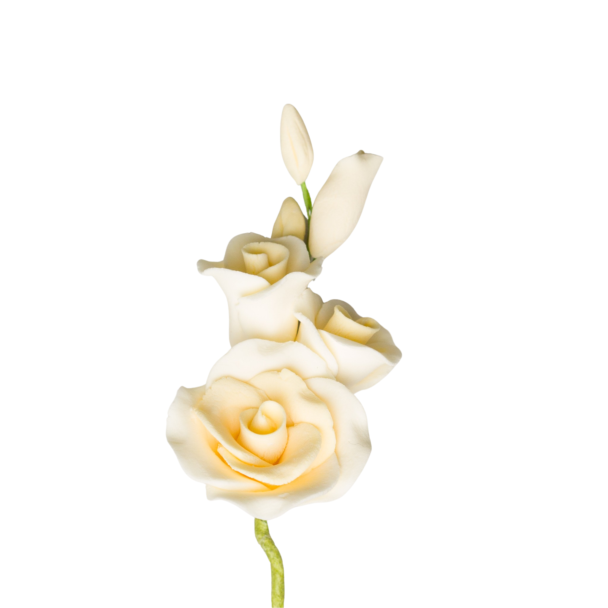 3" Rose Filler - Small - Ivory – Wholesale Sugar Flowers