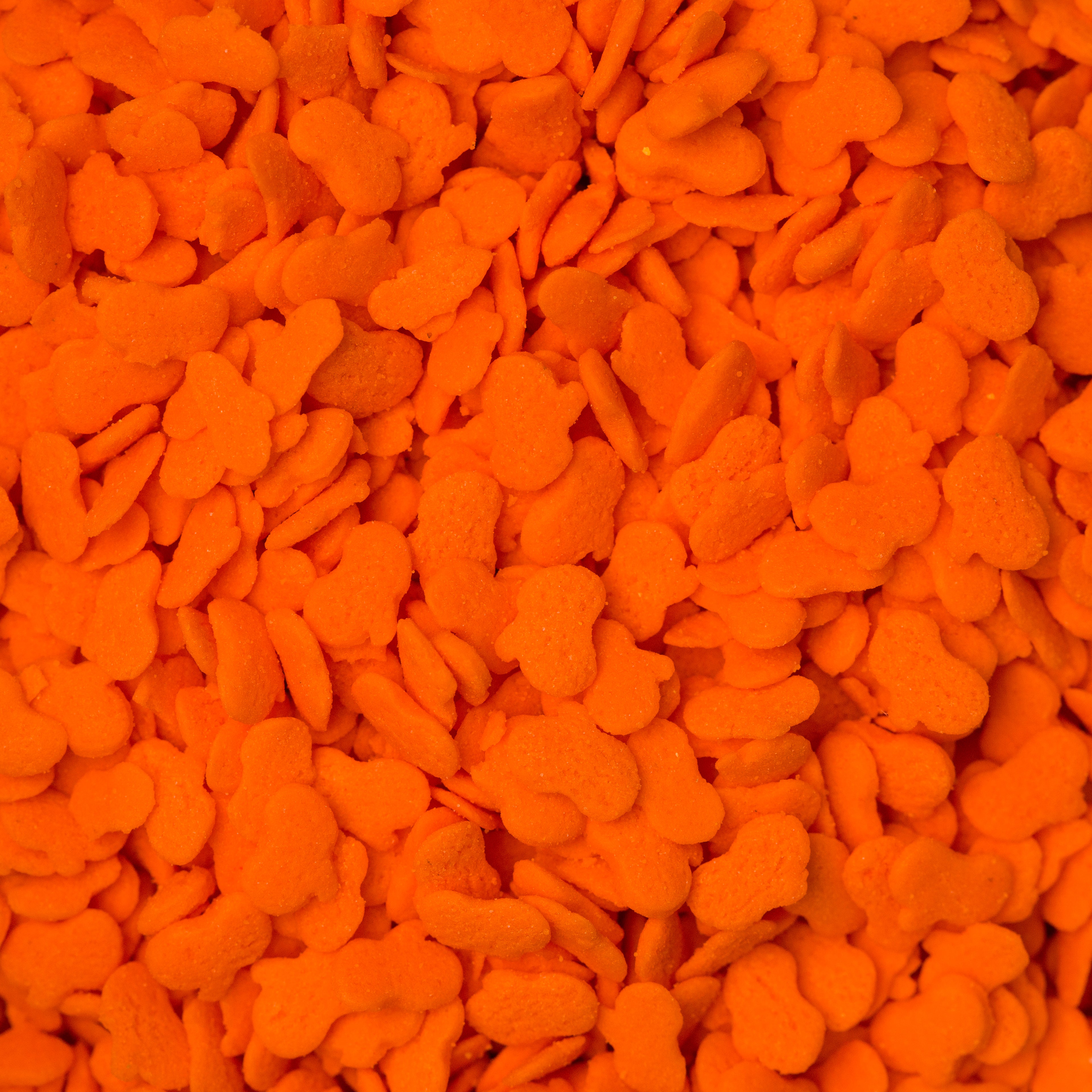Pumpkin Quins – Wholesale Sugar Flowers